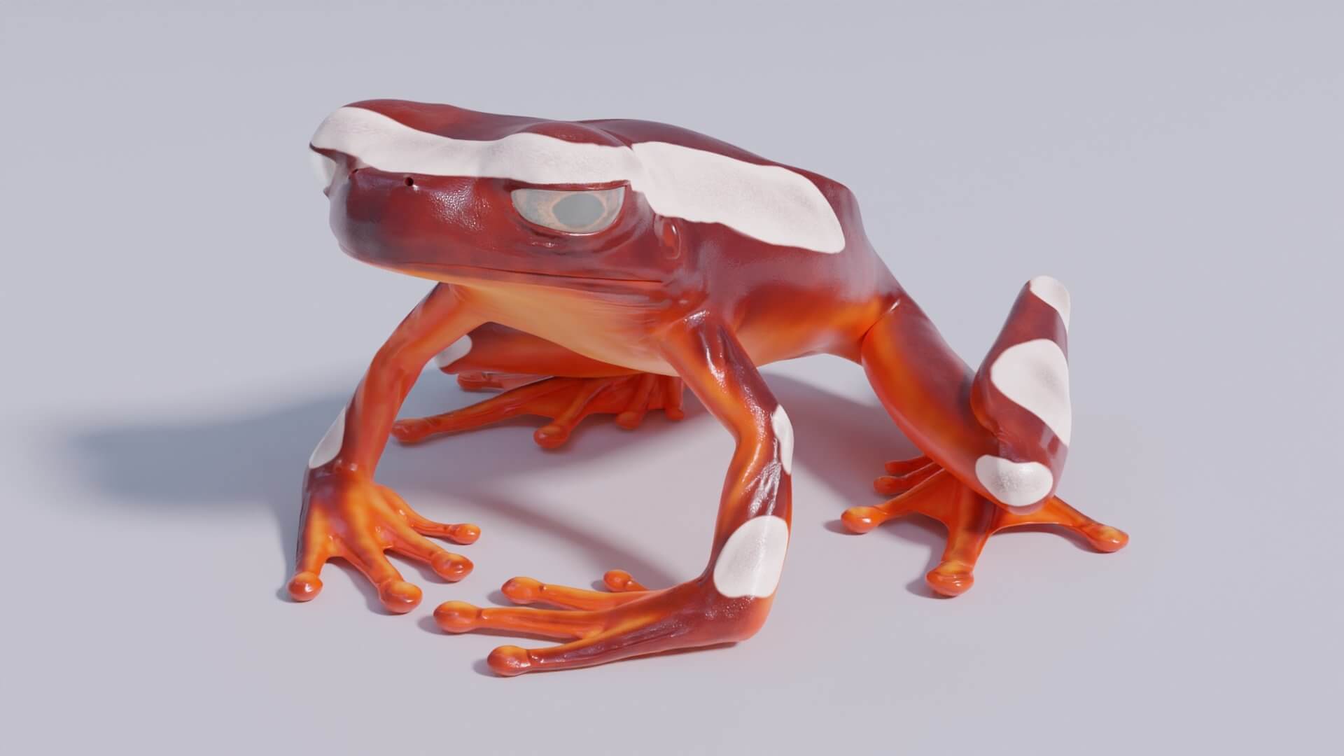 Animated Clown Tree Frog - 3D Model by Dibia Digital
