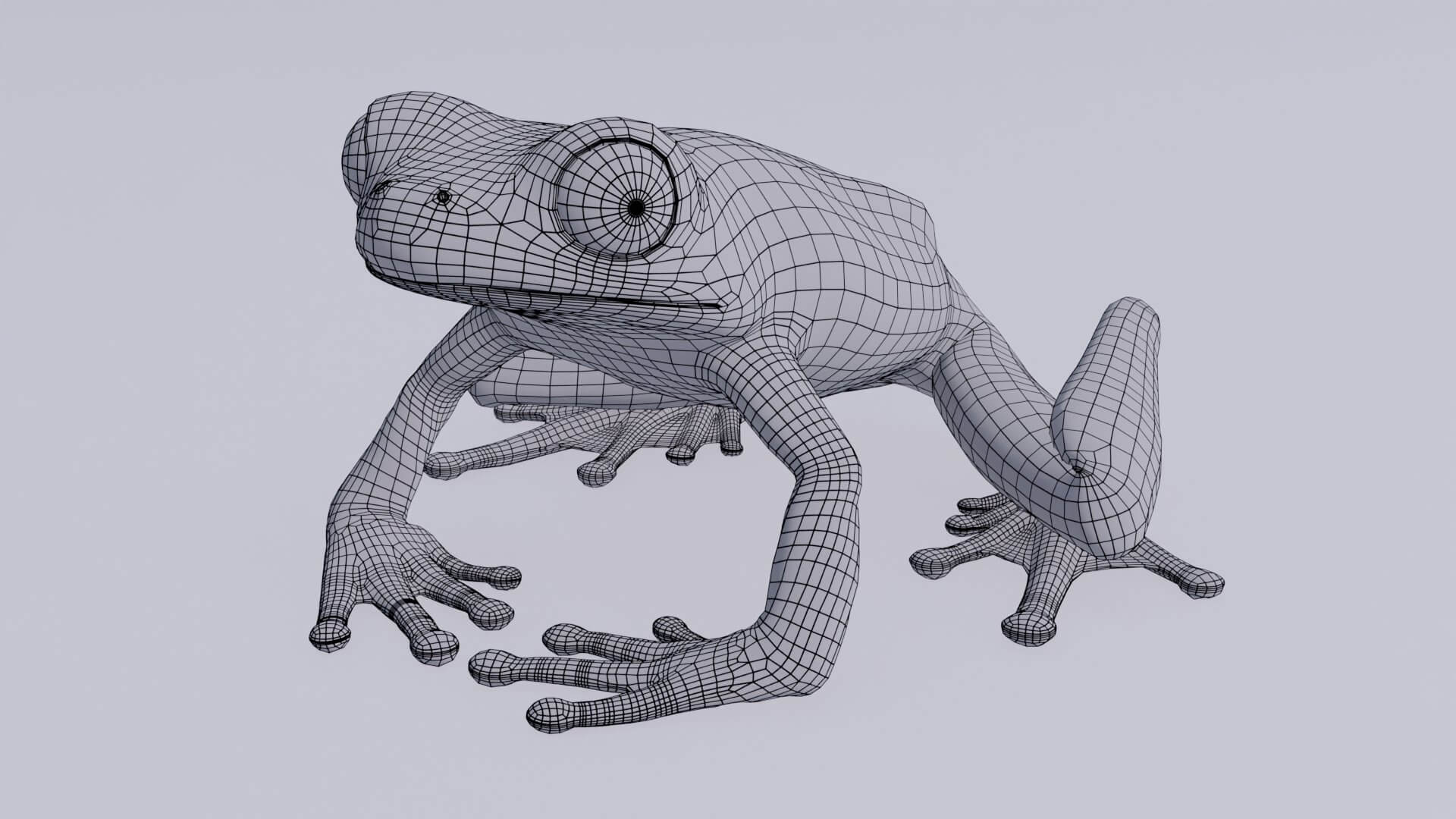 Animated Clown Tree Frog - 3D Model by Dibia Digital