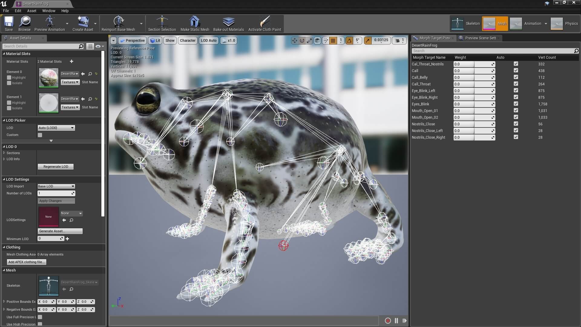 Animated Desert Rain Frog - 3D Model by Dibia Digital
