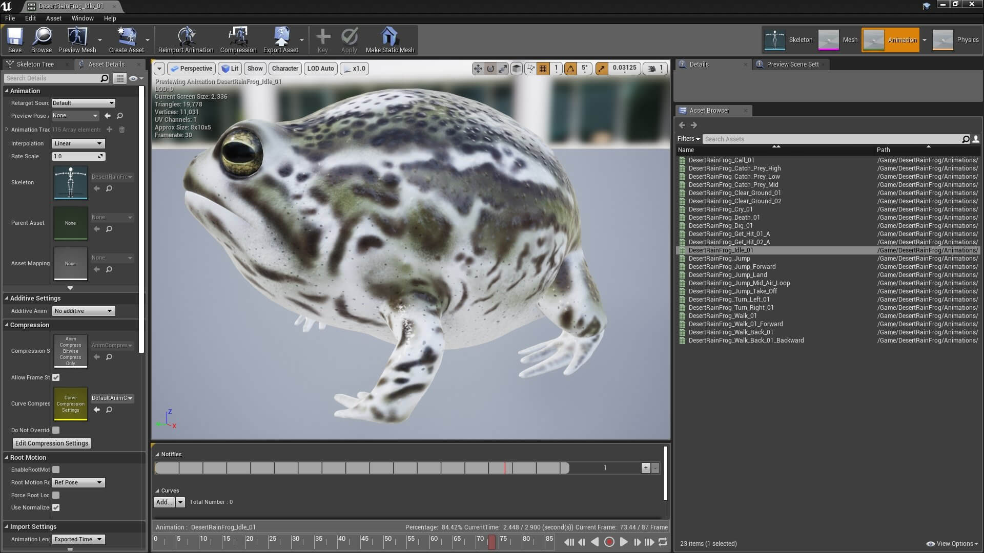 Animated Desert Rain Frog - 3D Model by Dibia Digital