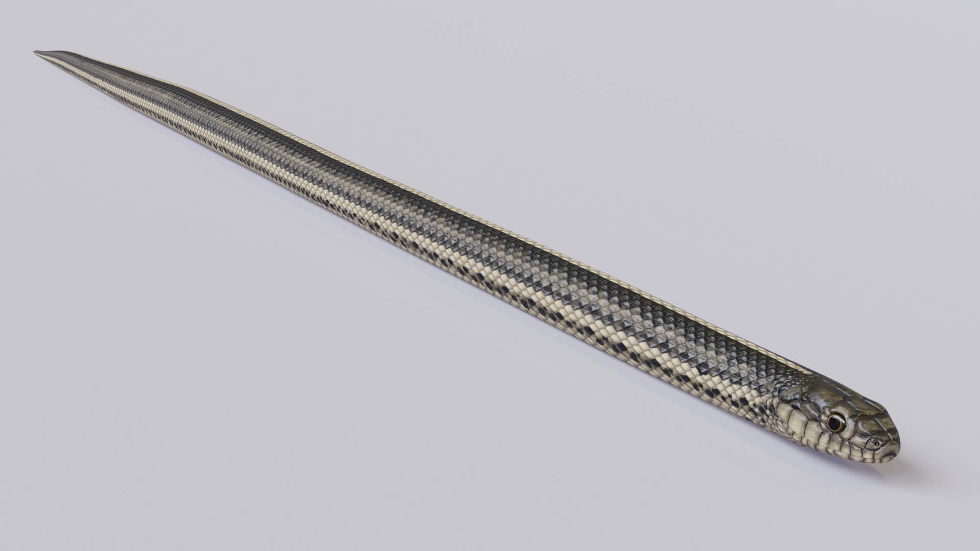 Garter Snake 3D Mesh Bundle by Dibia Digital