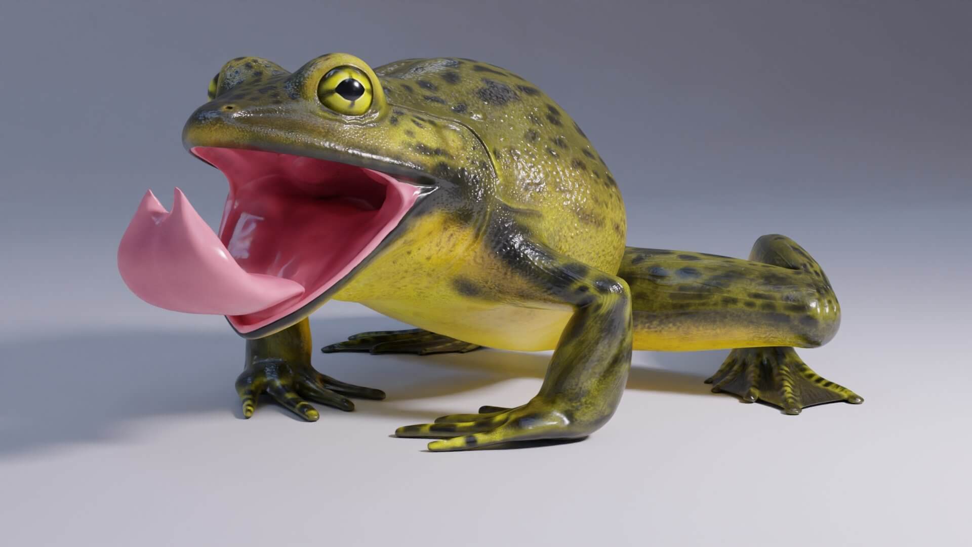 Animated Goliath Bullfrog - 3D Model by Dibia Digital