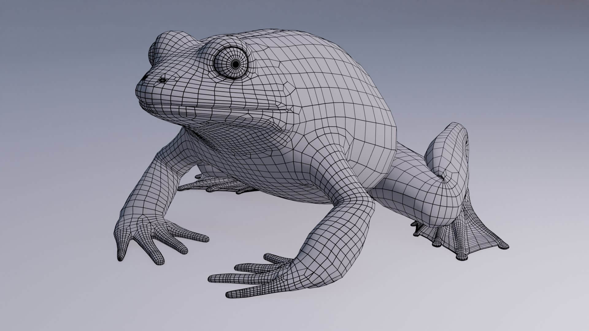 Animated Goliath Bullfrog - 3D Model by Dibia Digital