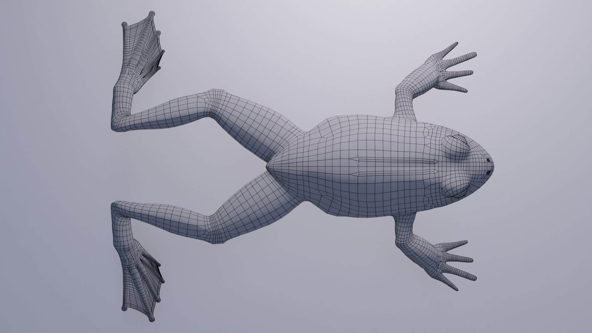 Animated Goliath Bullfrog - 3D Model by Dibia Digital