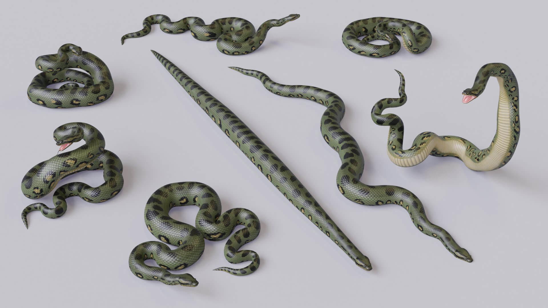 Green Anaconda 3D Mesh Bundle by Dibia Digital