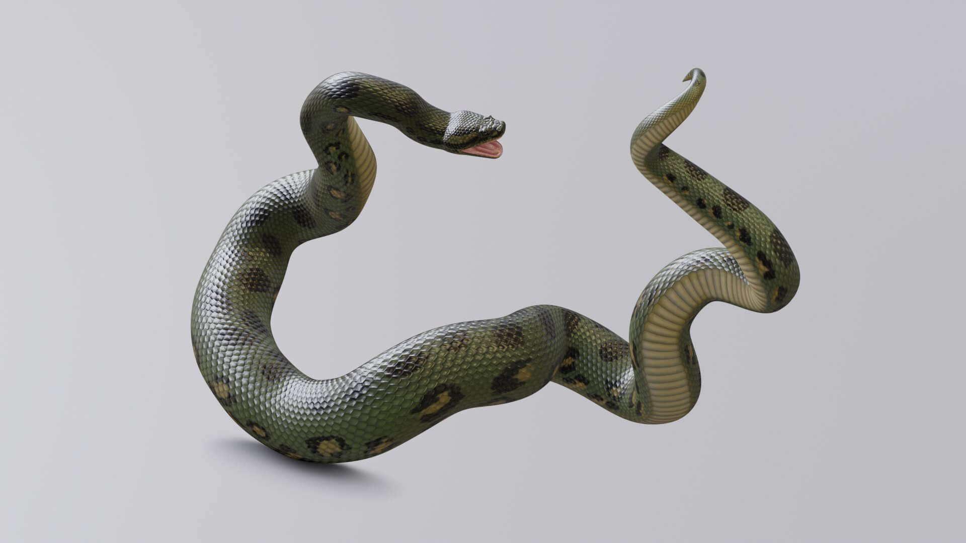 Green Anaconda 3D Mesh Bundle by Dibia Digital