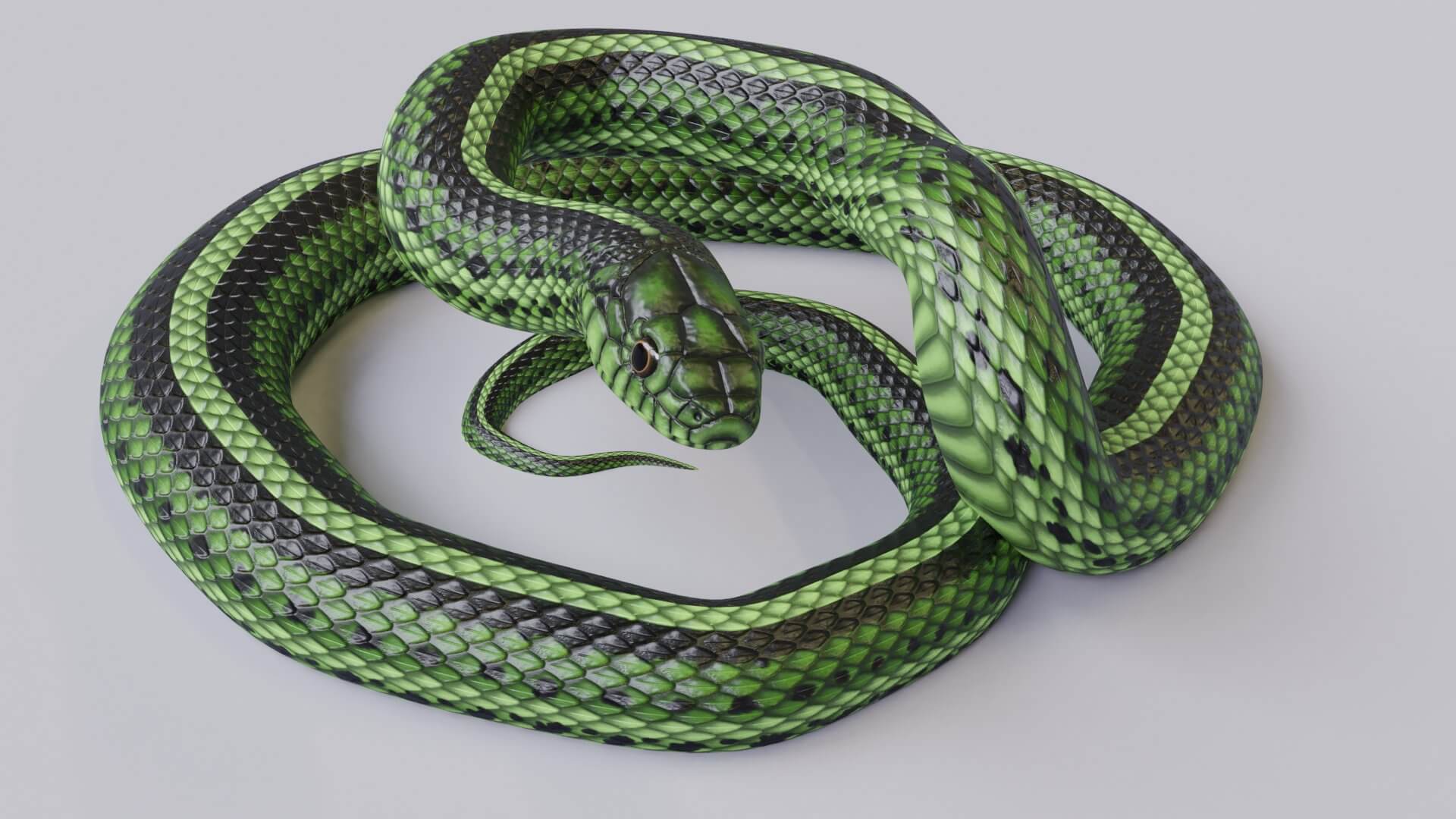 Green Snake Bundle - 3D Model by Dibia Digital