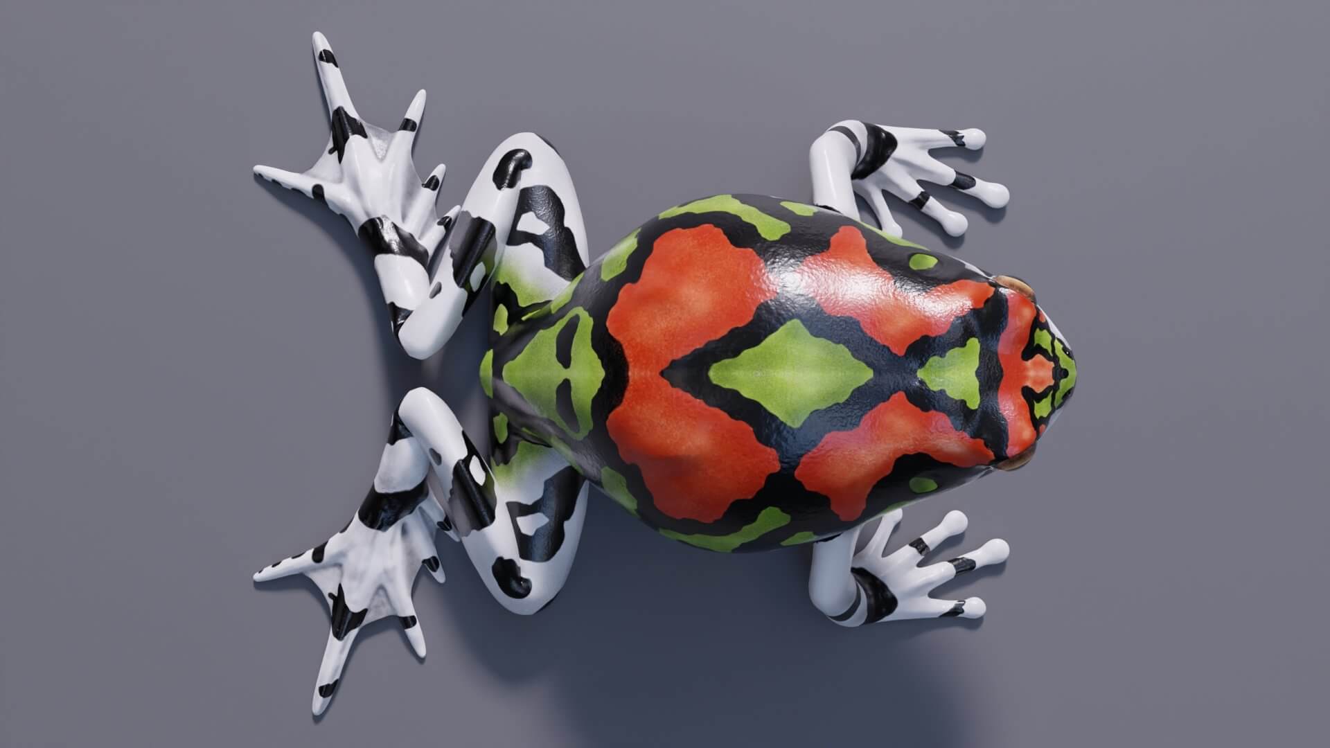 Animated Malagasy Rainbow Frog - 3D Model by Dibia Digital