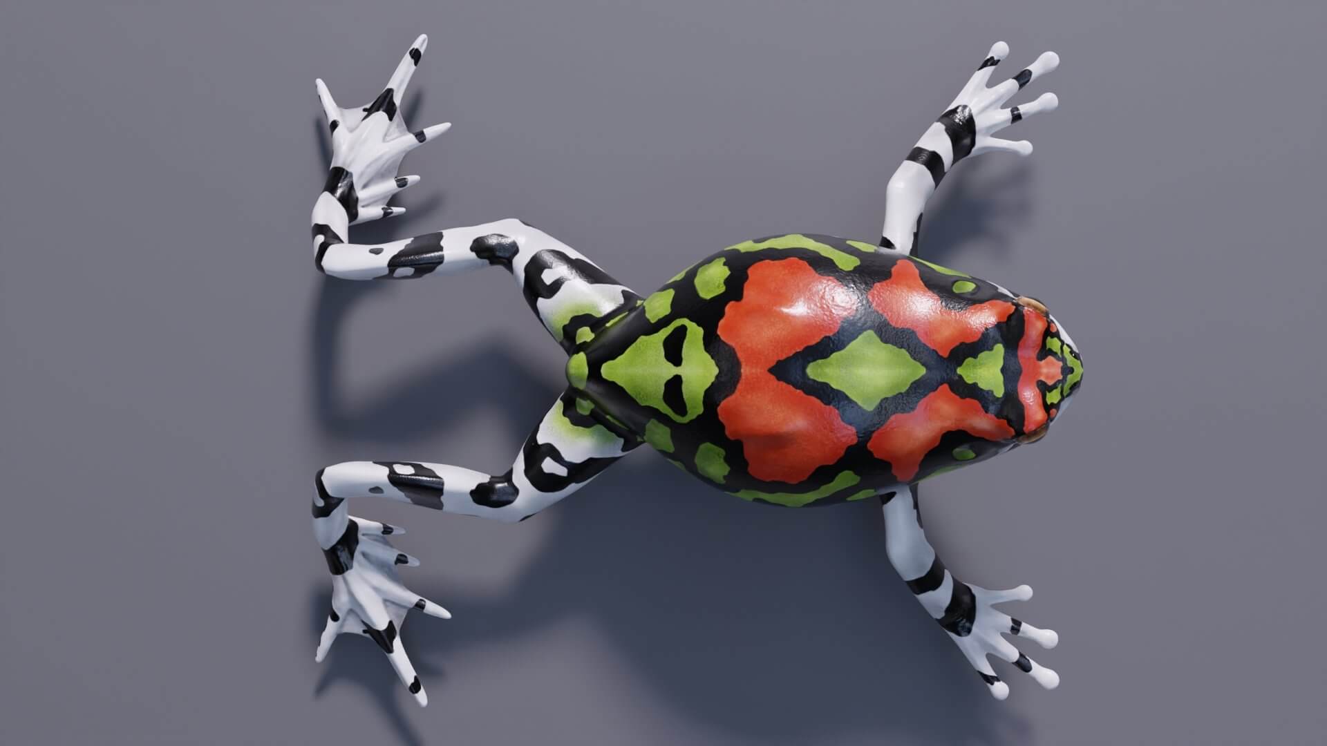 Animated Malagasy Rainbow Frog - 3D Model by Dibia Digital