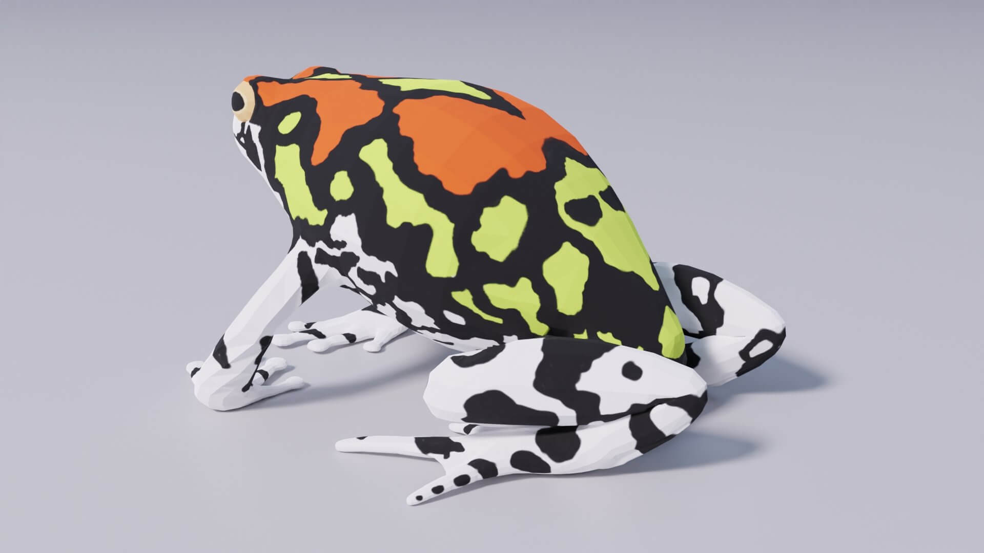 Animated Malagasy Rainbow Frog - 3D Model by Dibia Digital