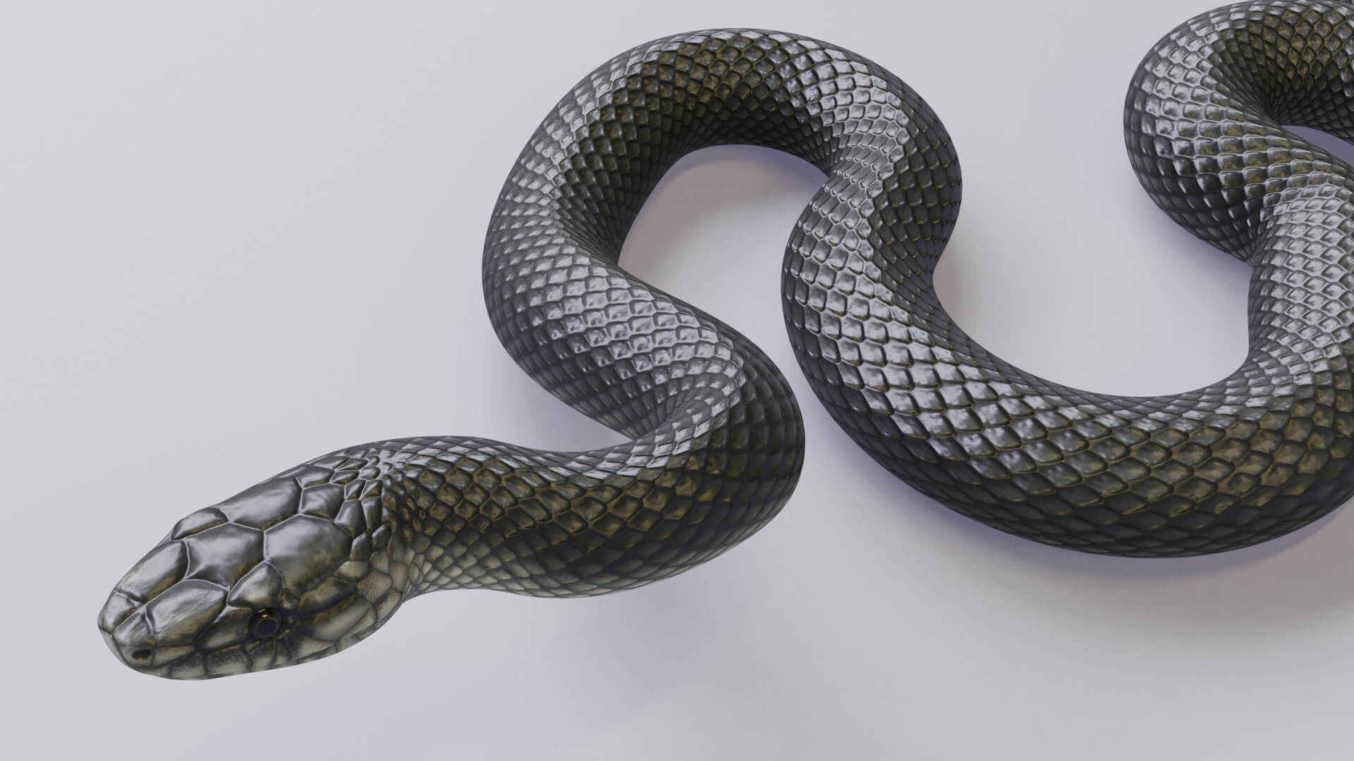 Rigged Black Mamba - 3D Model by Dibia Digital