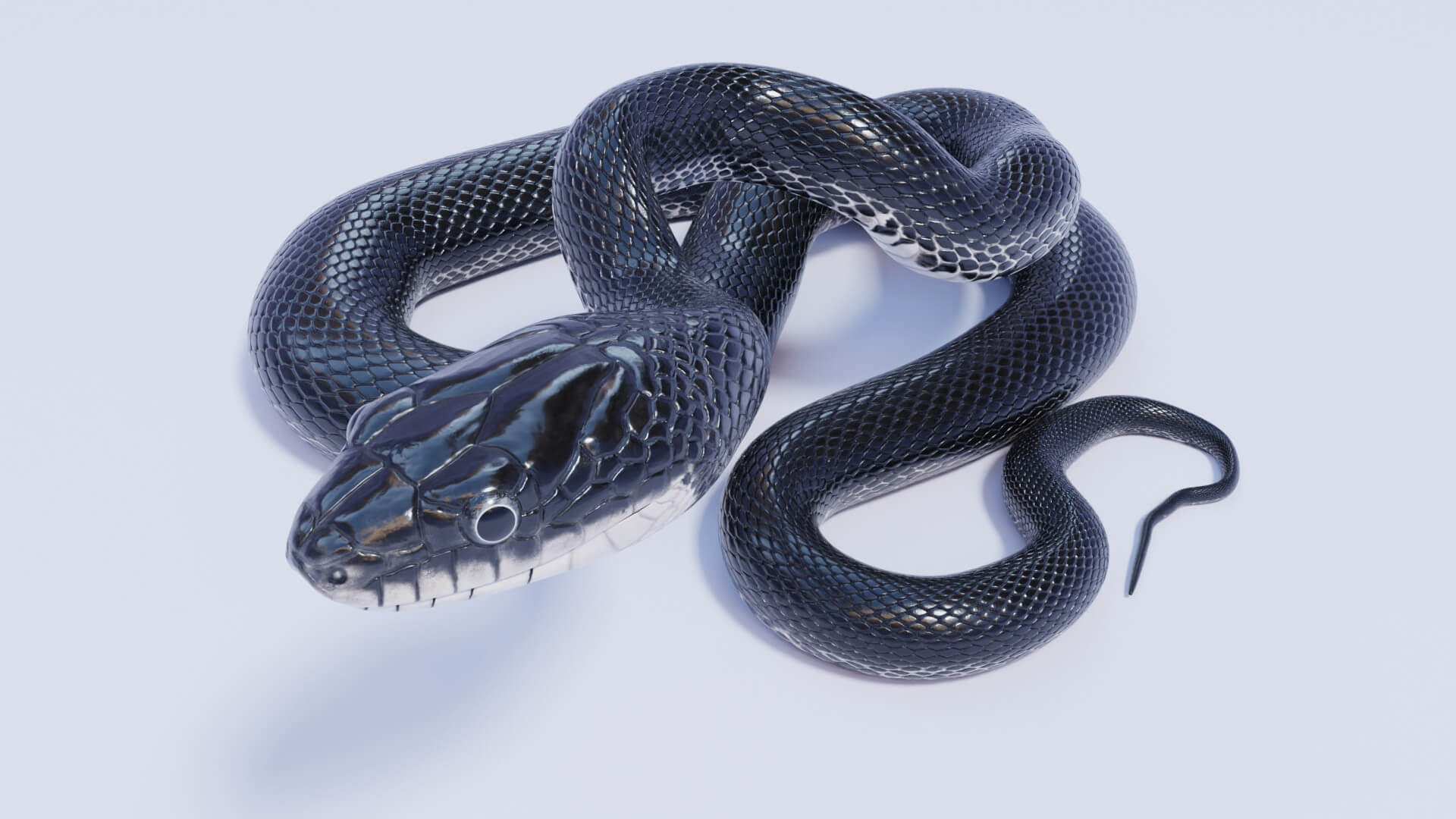 Rigged Black Rat Snake - 3D Model by Dibia Digital