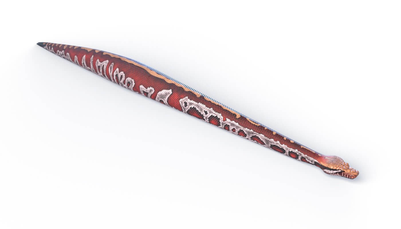 Rigged Blood Python - 3D Model by Dibia Digital