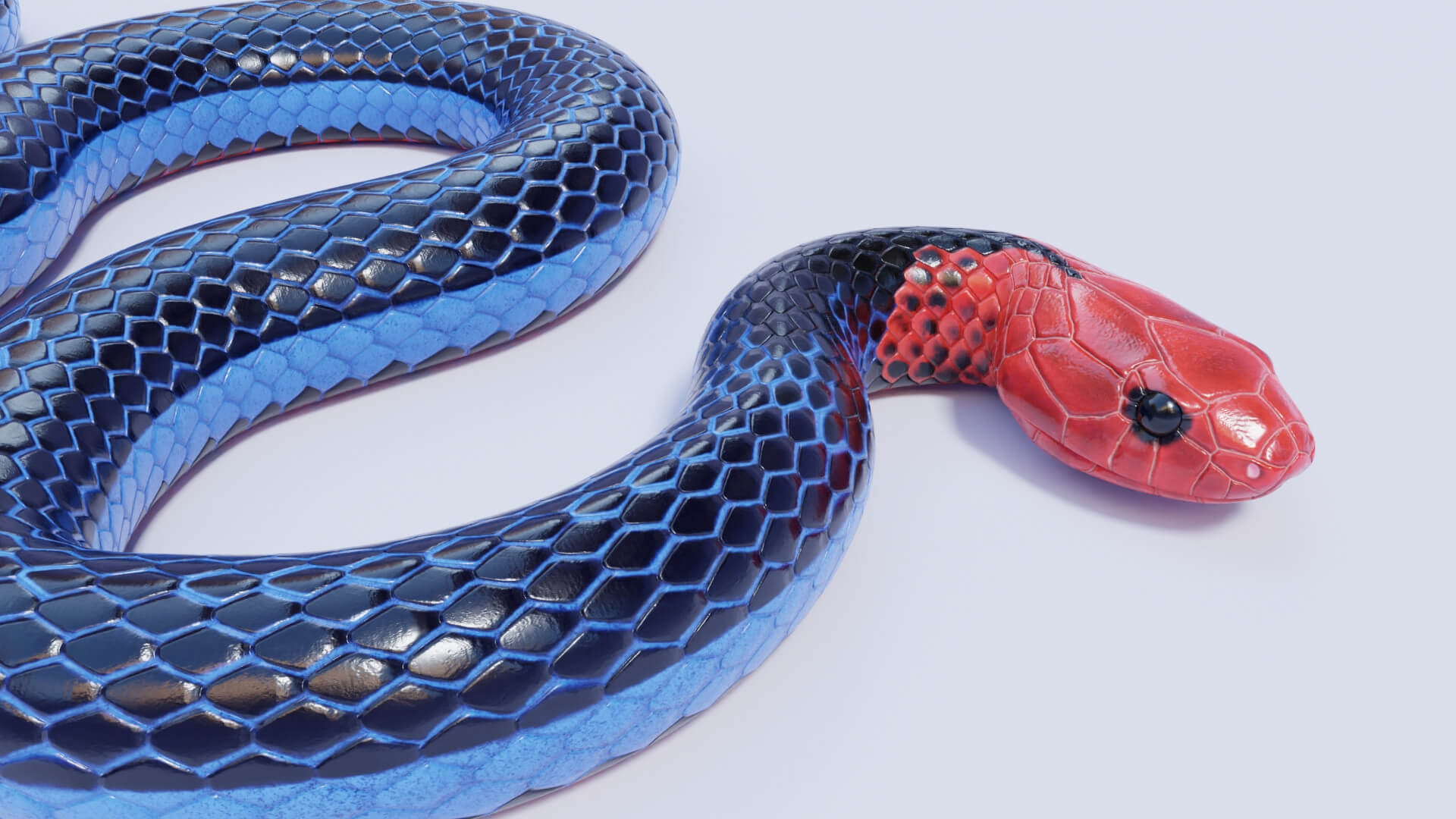 Rigged Blue Coral Snake - 3D Model by Dibia Digital