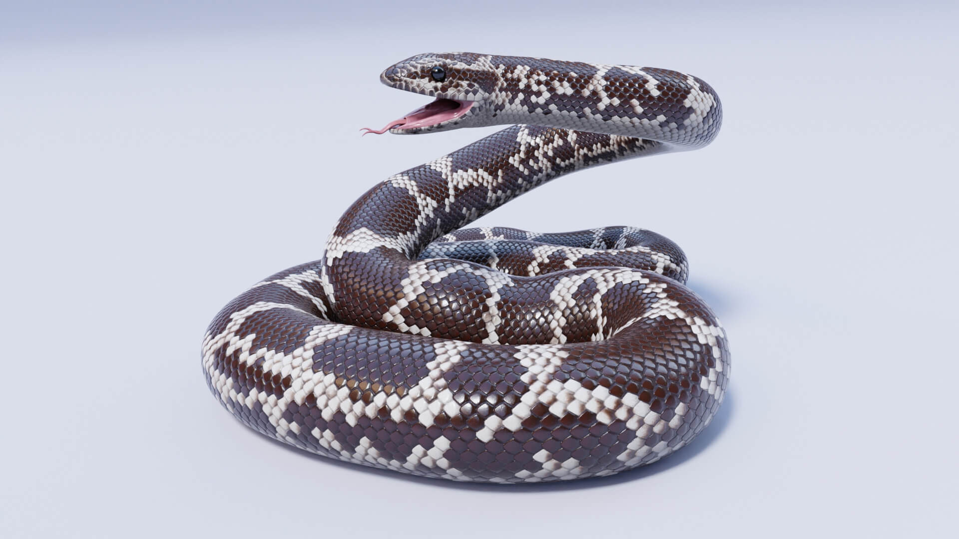 Rigged Kenyan Sand Boa - 3D Model by Dibia Digital