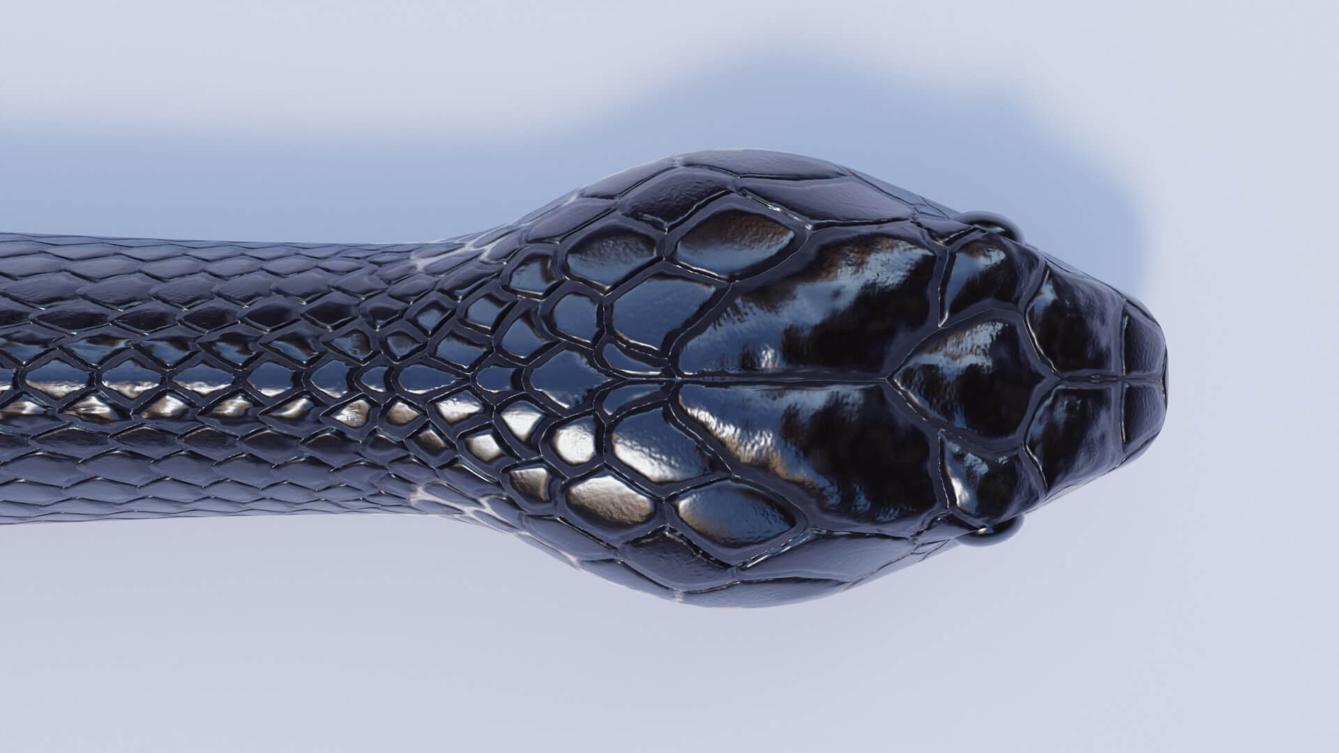 Rigged Malayan Krait - 3D Model by Dibia Digital