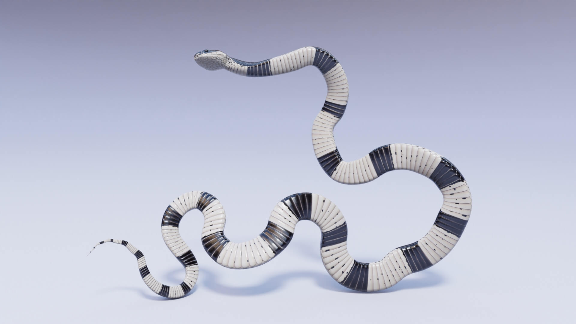 Rigged Malayan Krait - 3D Model by Dibia Digital