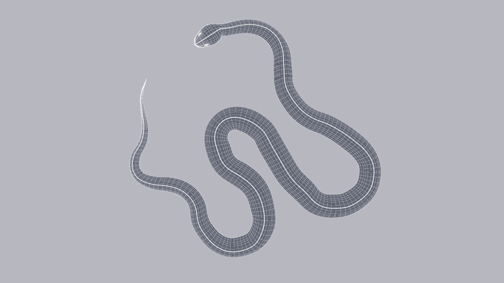 Rigged Malayan Krait - 3D Model by Dibia Digital