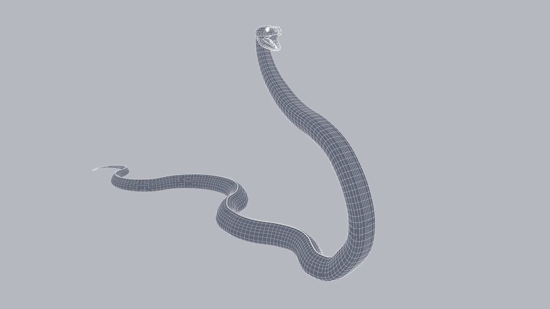 Rigged Malayan Krait - 3D Model by Dibia Digital