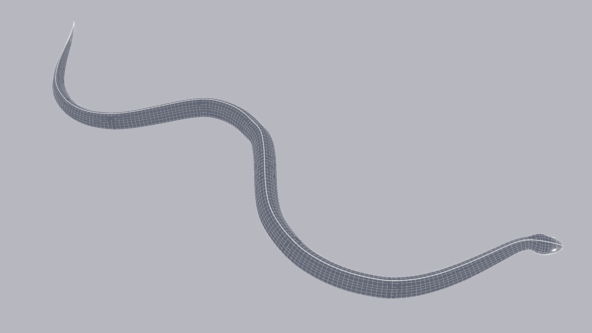 Rigged Malayan Krait - 3D Model by Dibia Digital