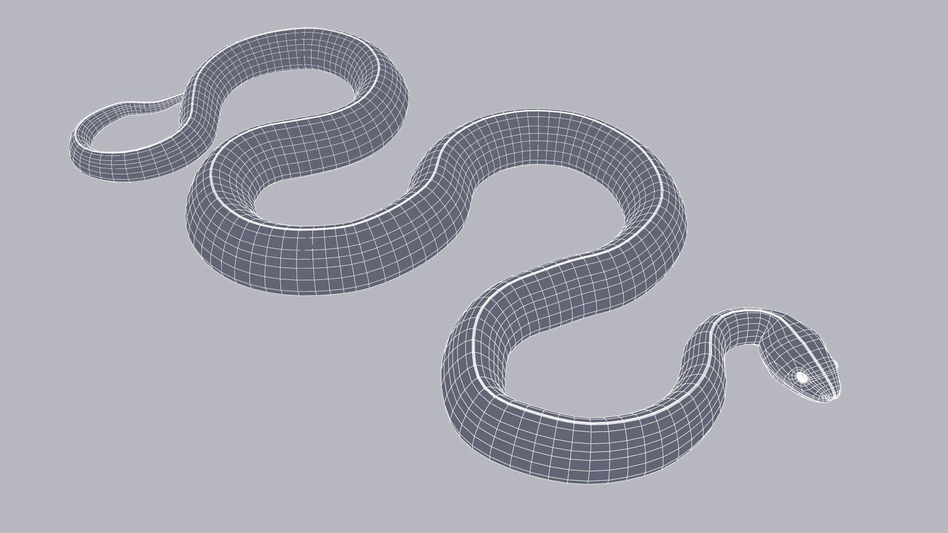 Rigged Malayan Krait - 3D Model by Dibia Digital