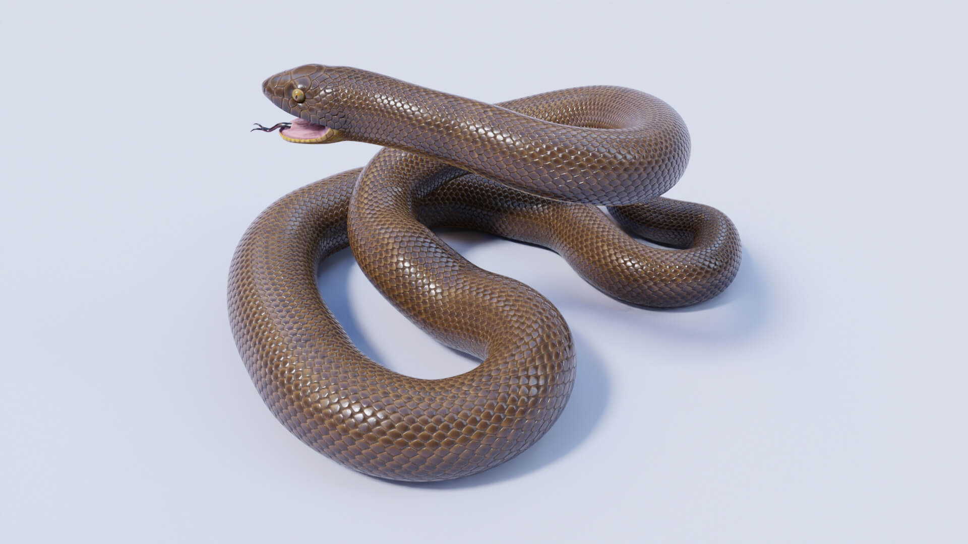Rigged Rubber Boa - 3D Model by Dibia Digital