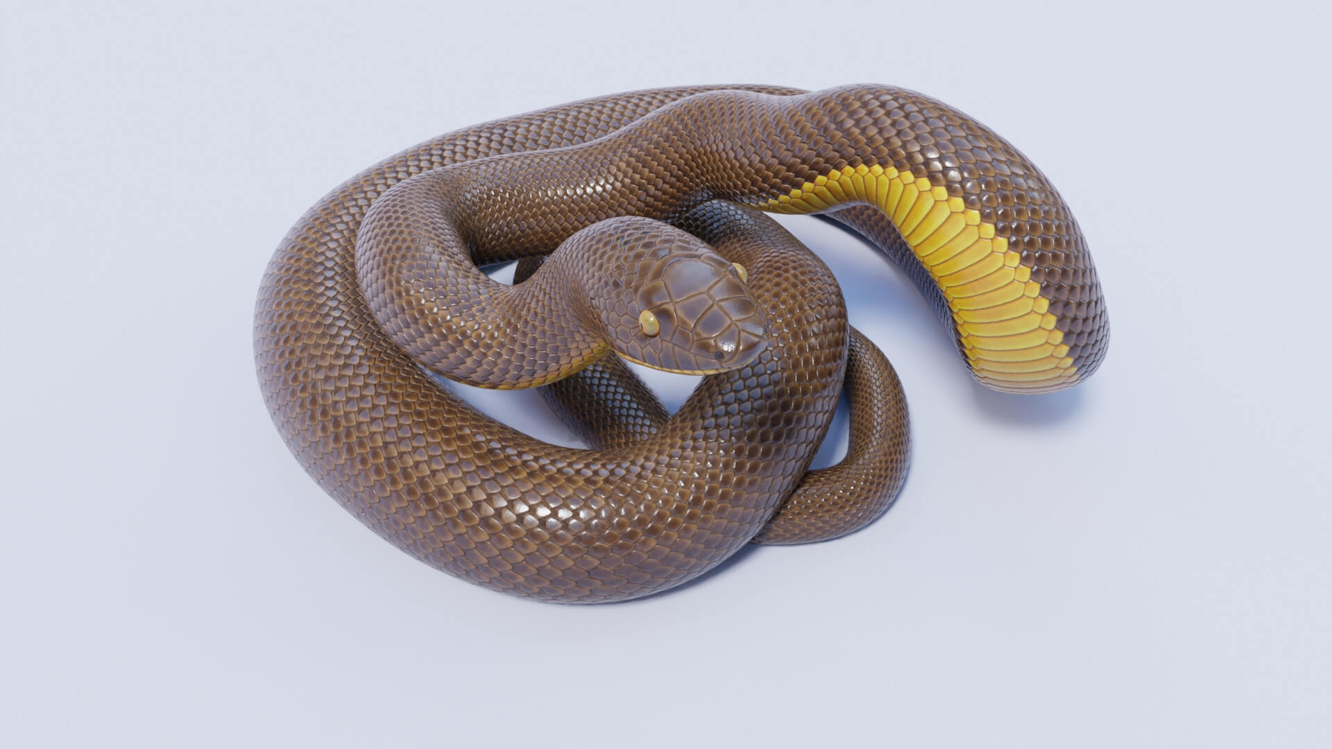 Rigged Rubber Boa - 3D Model by Dibia Digital