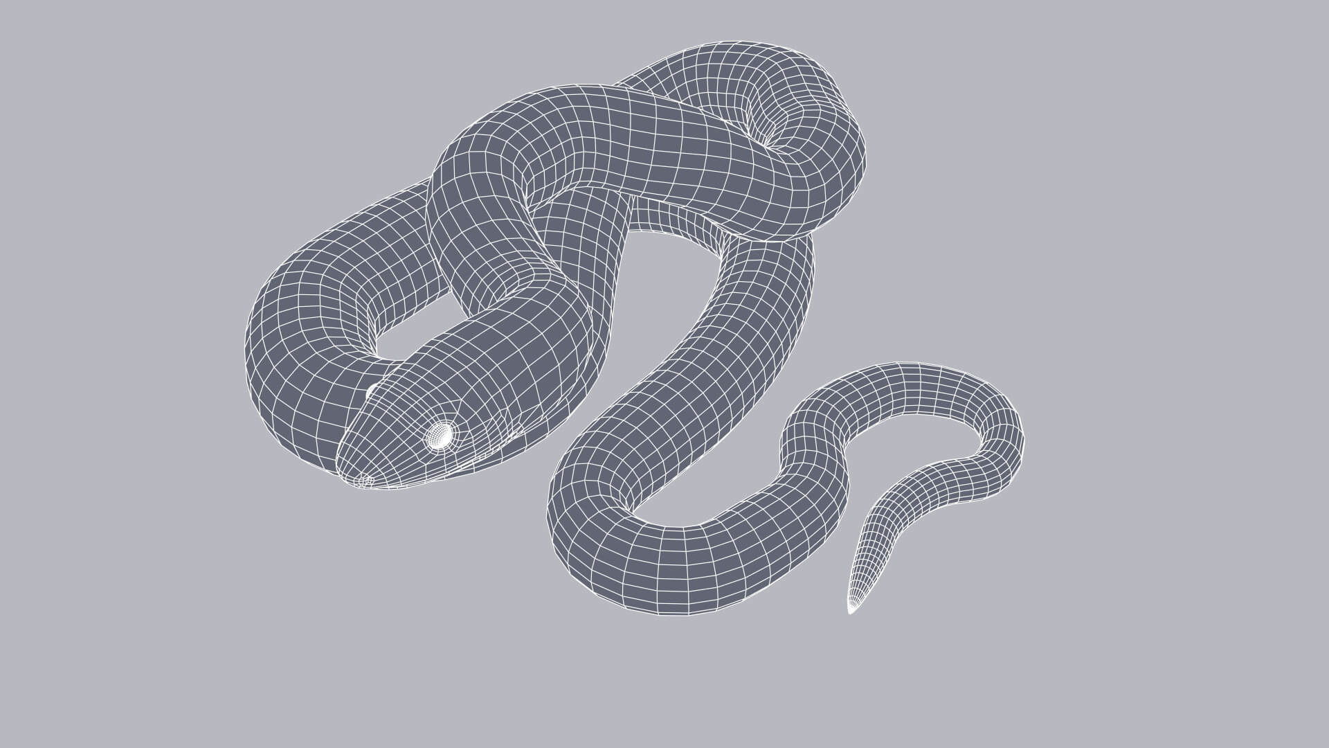 Rigged Rubber Boa - 3D Model by Dibia Digital