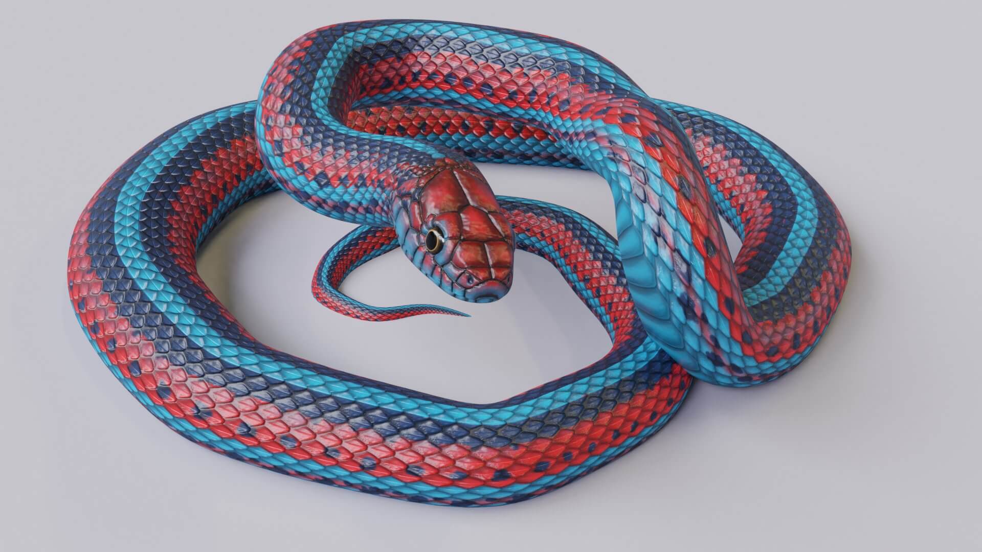 San Francisco Garter Snake Bundle - 3D Model by Dibia Digital