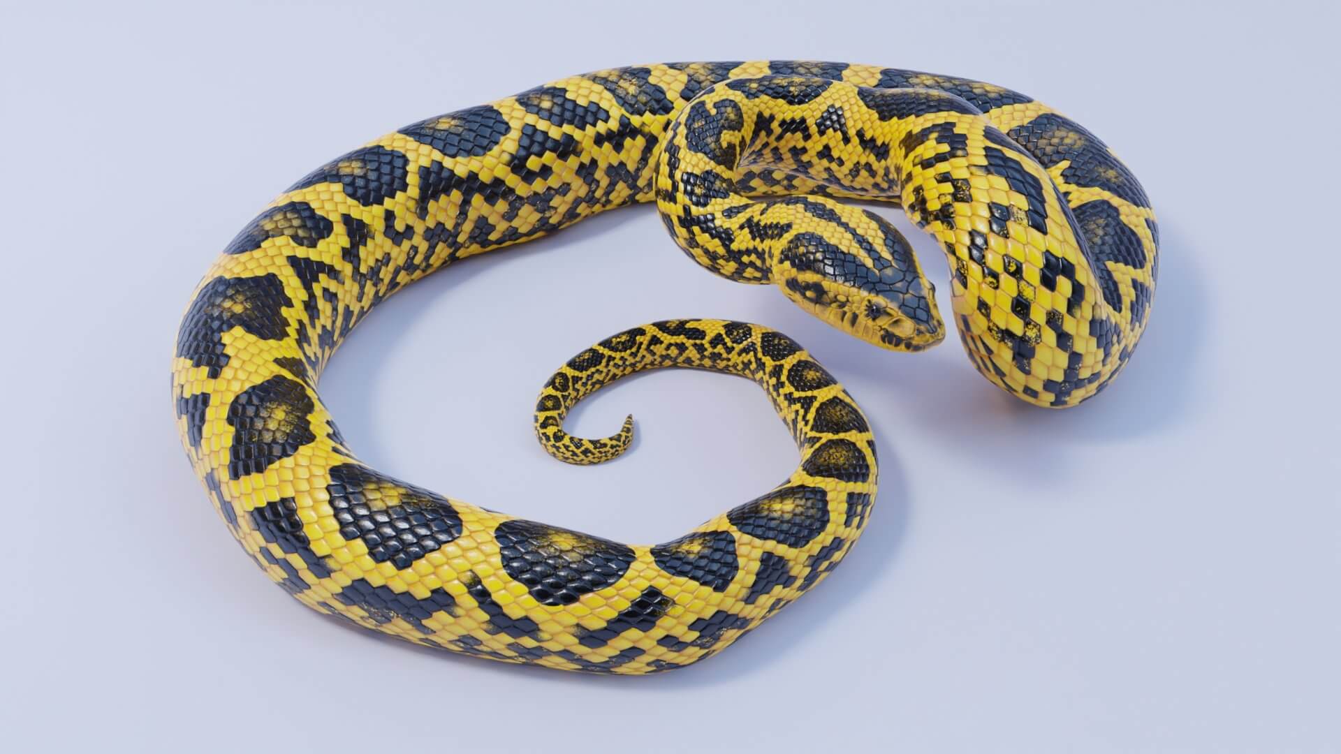 Yellow Anaconda Animated - 3D Model by Dibia Digital