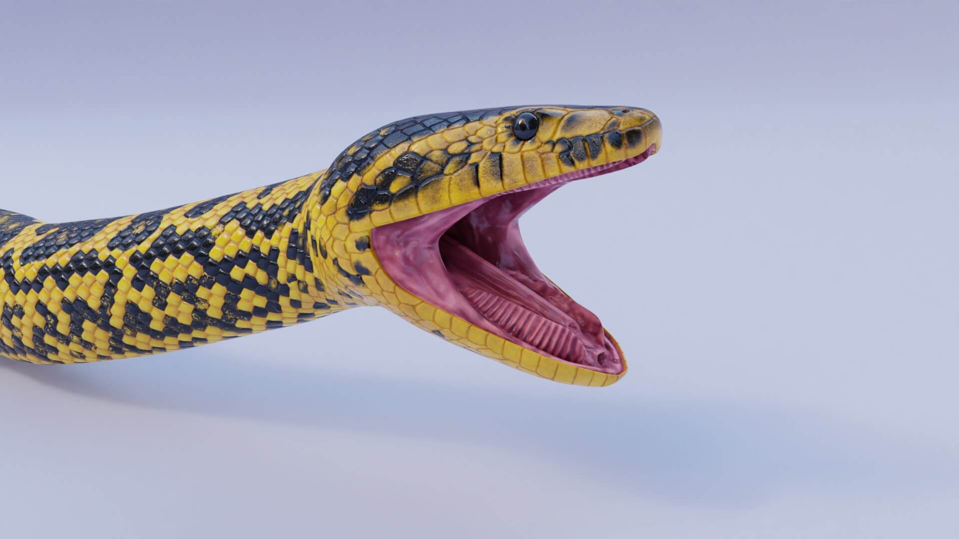 Yellow Anaconda Animated - 3D Model by Dibia Digital