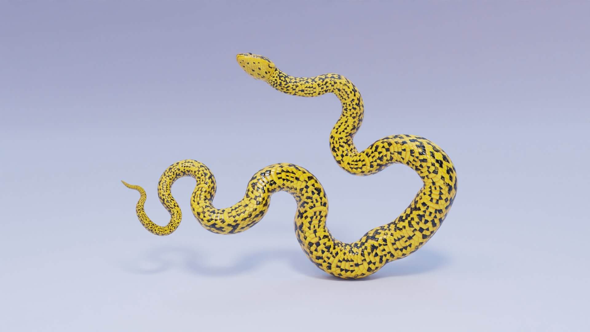 Yellow Anaconda Animated - 3D Model by Dibia Digital