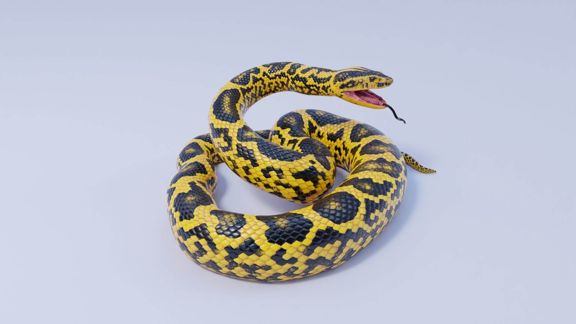 Yellow Anaconda Animated - 3D Model by Dibia Digital