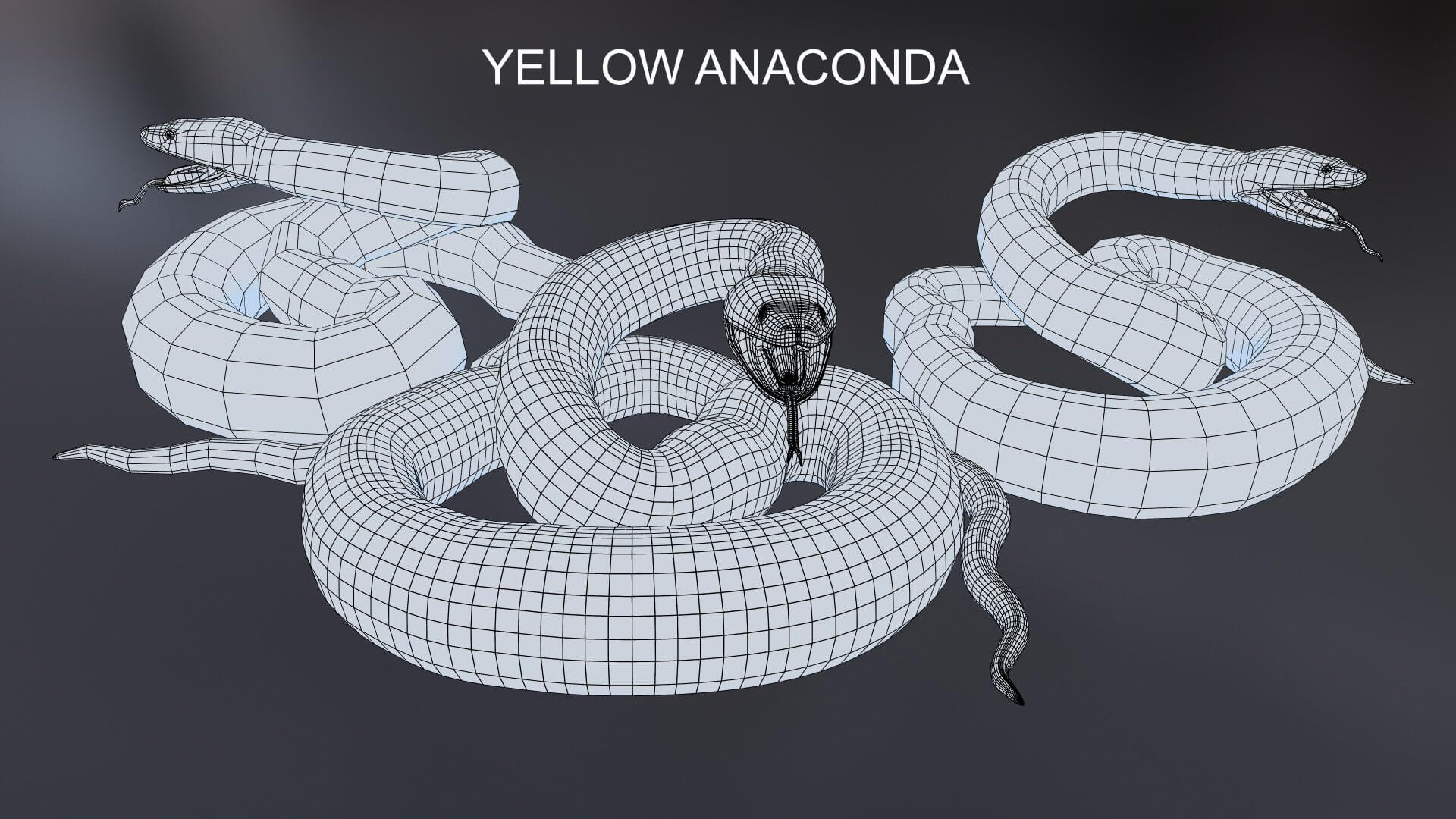 Yellow Anaconda Animated - 3D Model by Dibia Digital