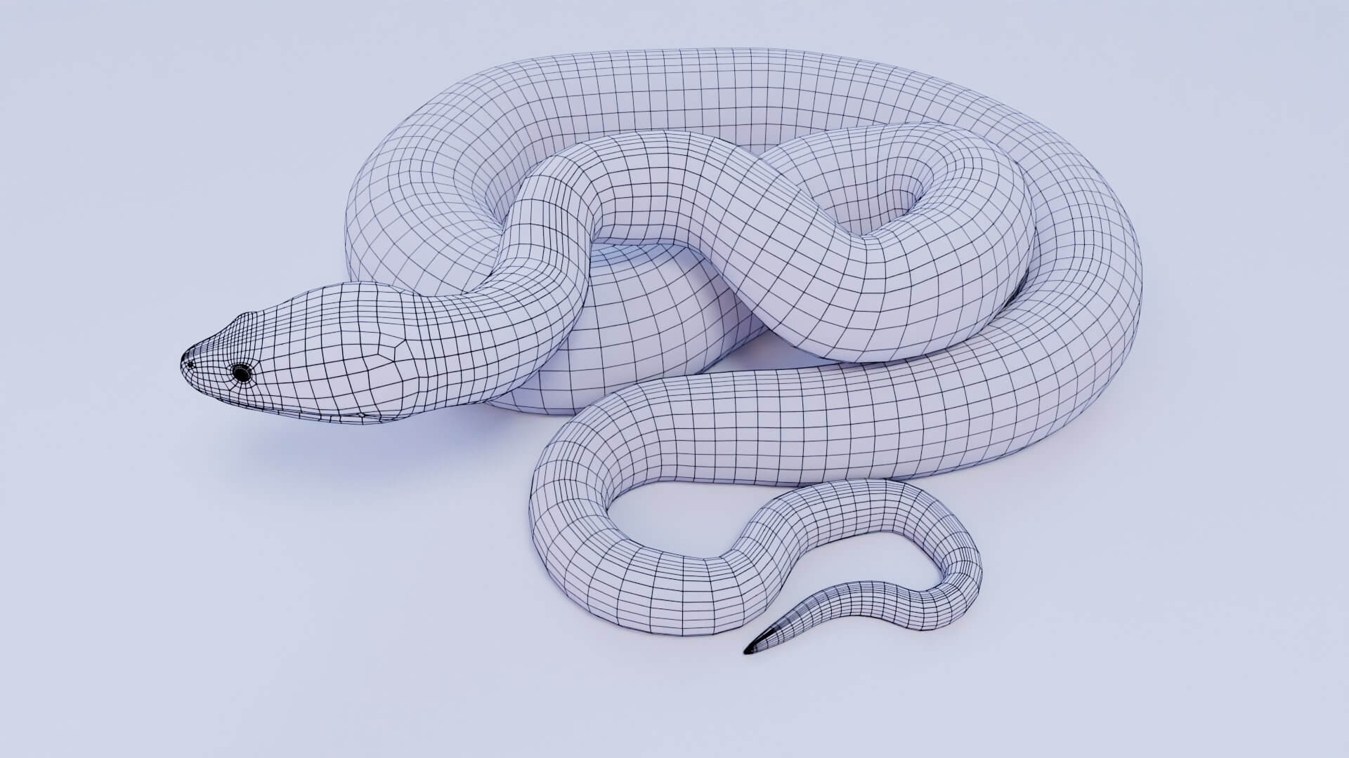 Yellow Anaconda Animated - 3D Model by Dibia Digital