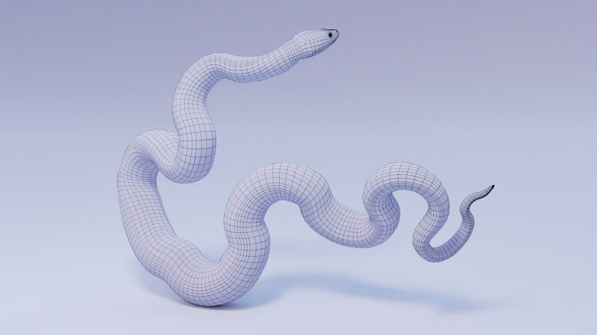 Yellow Anaconda Animated - 3D Model by Dibia Digital