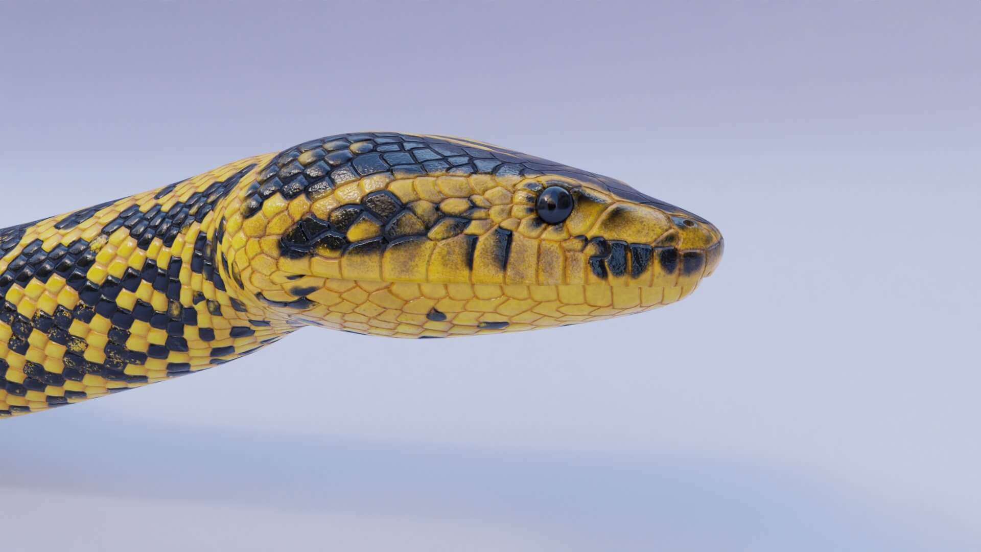 Yellow Anaconda Rigged - 3D Model by Dibia Digital