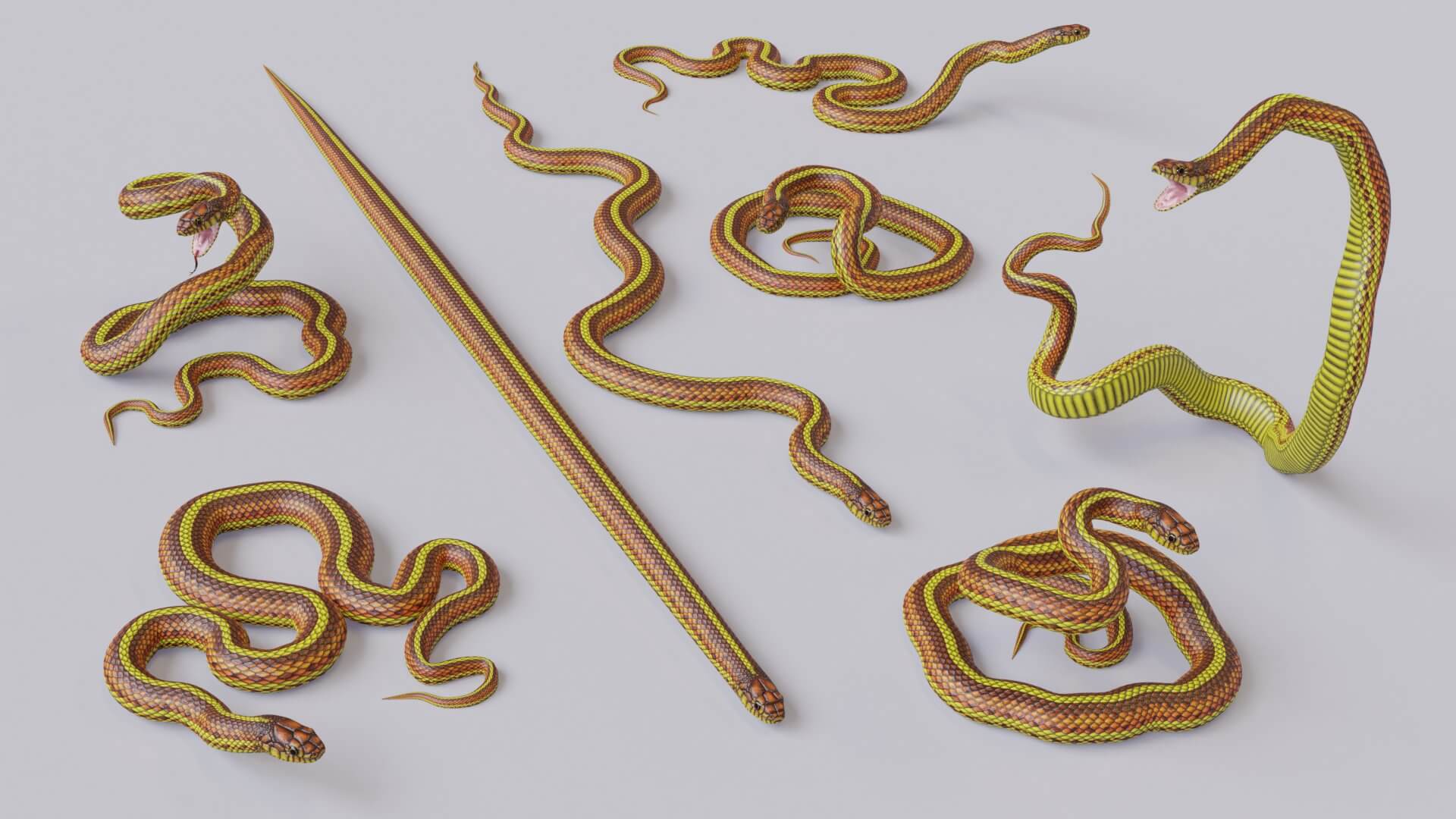 Yellow Snake Bundle - 3D Model by Dibia Digital