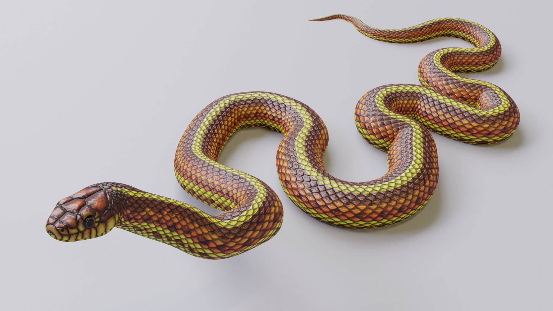 Yellow Snake Bundle - 3D Model by Dibia Digital