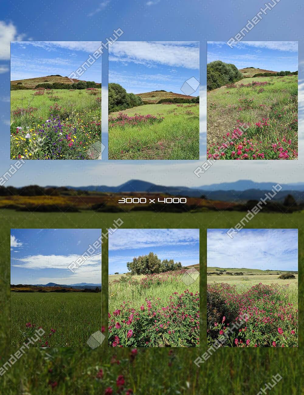 Nature Photo Pack 1 - Stock Image by dieggomasamune