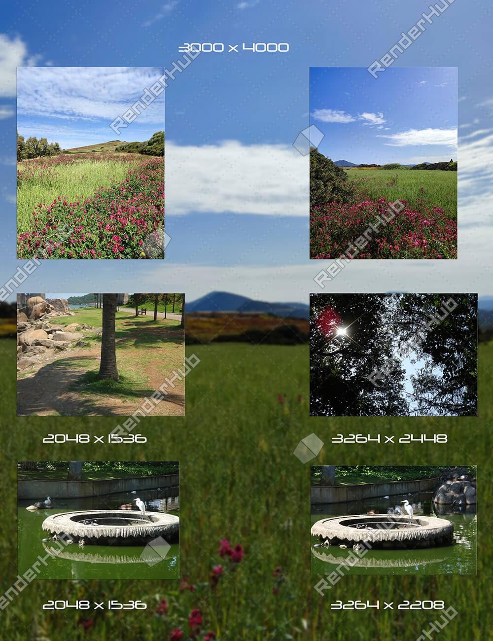 Nature Photo Pack 1 - Stock Image by dieggomasamune