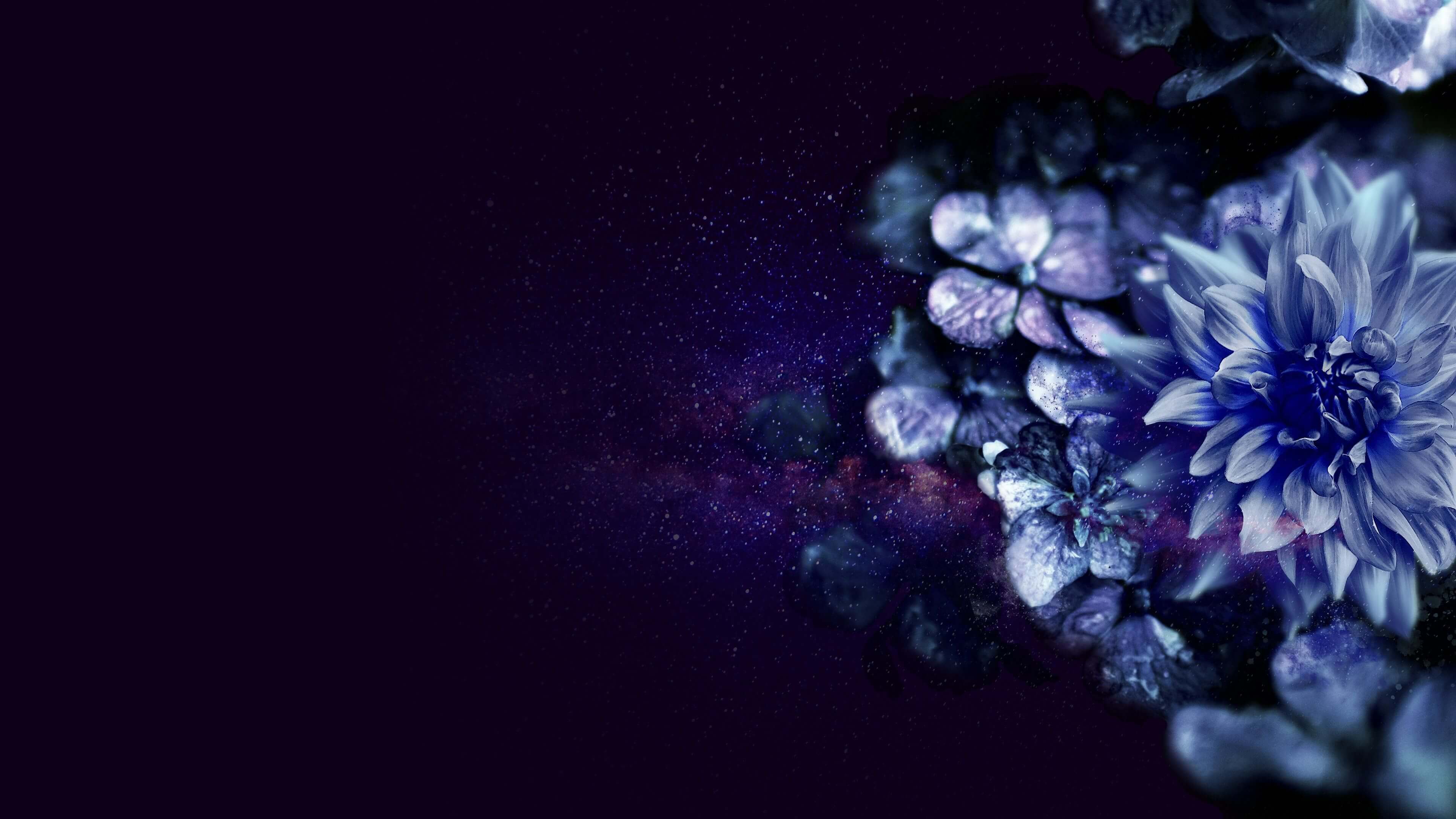 Mystical FLowers 3D Render, Digital Art by DinapixStudio