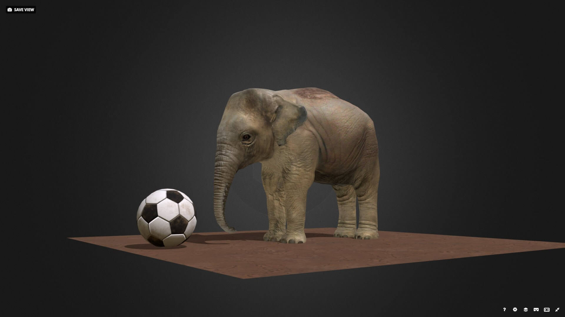 Asian Baby Elephants 3D Model 3D Render, Digital Art by dmd_hn