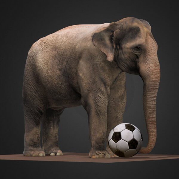 Asian Male Elephants 3D ModelWireframe 3D Render | RenderHub Gallery