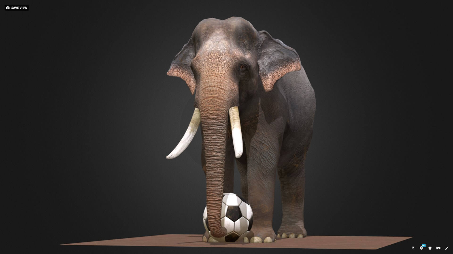 Asian Male Elephant 3D Render | RenderHub Gallery