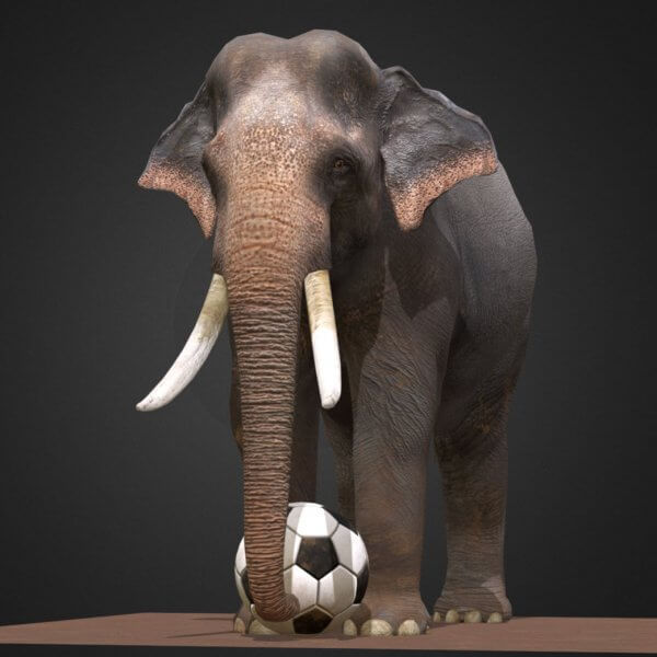 Asian Baby Elephants 3D Model 3D Render, Digital Art by dmd_hn