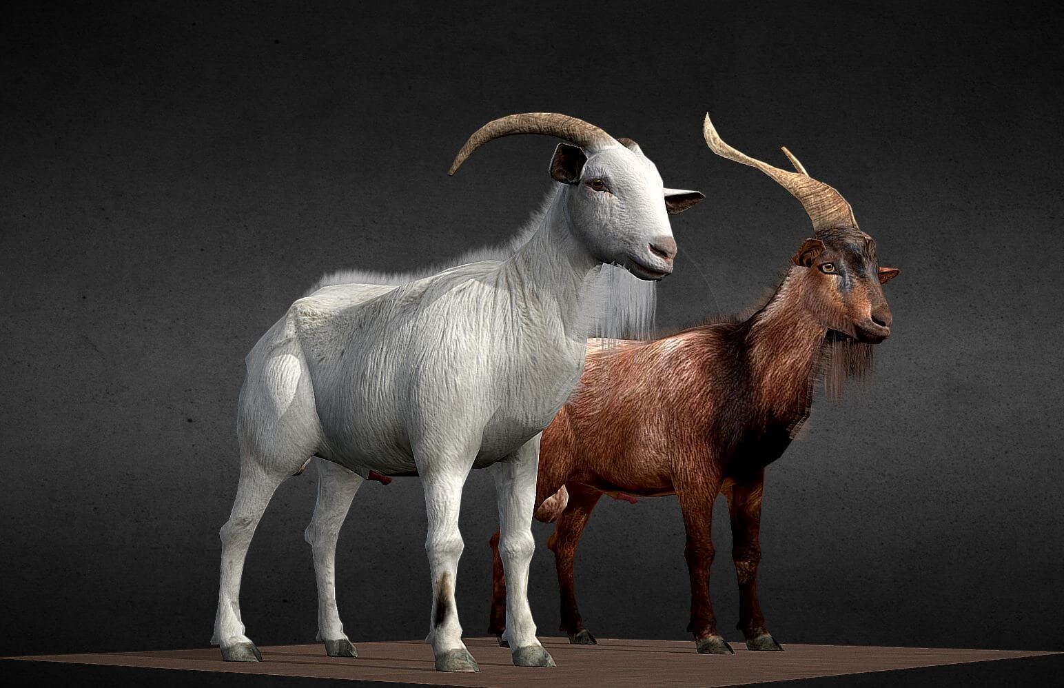 male goats 3D Render, Digital Art by dmd_hn