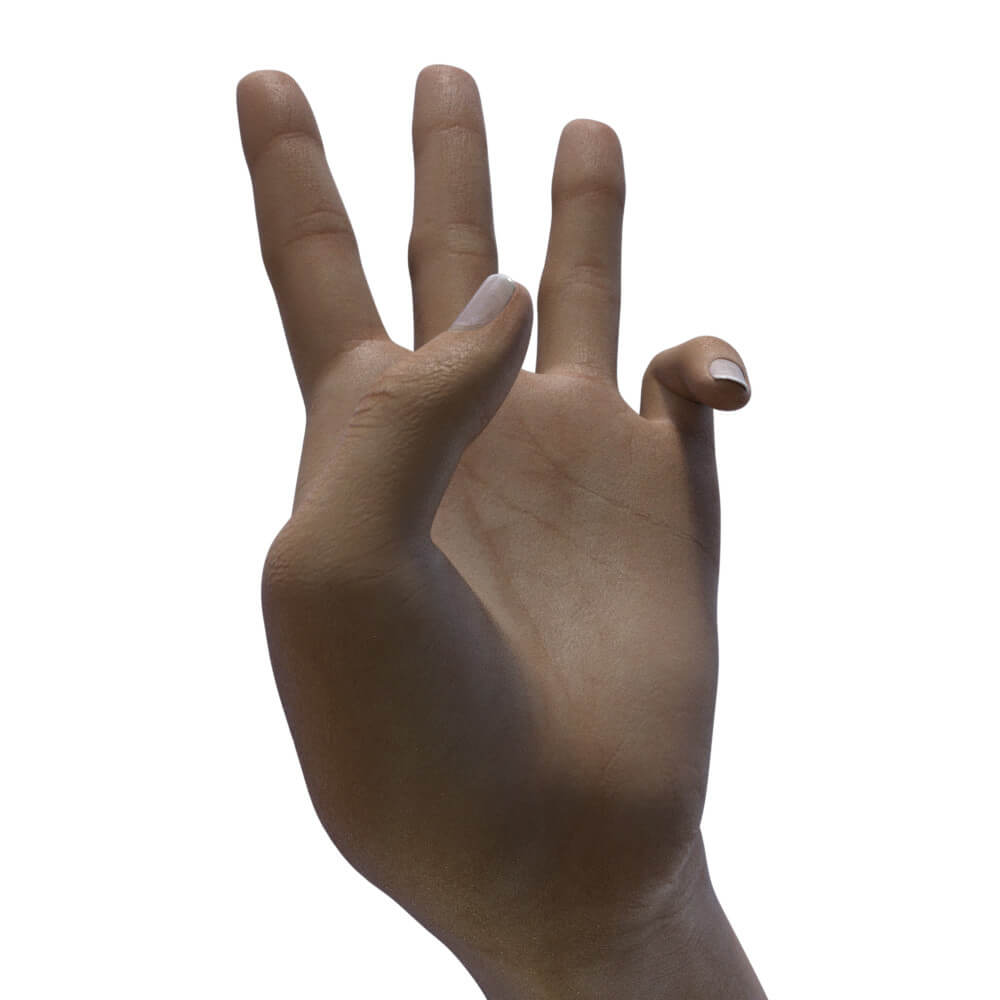 Hand Model Poses