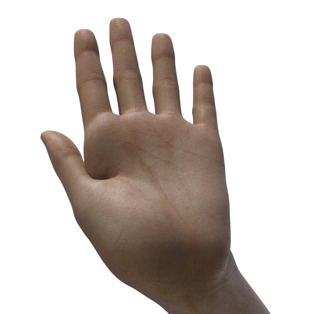 Hand Poses for G8 - Daz Content by DoroThee237