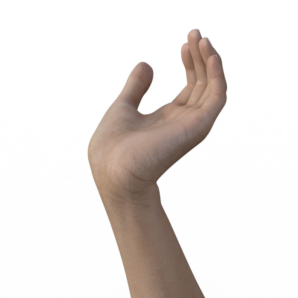 Hand Poses for G8 - Daz Content by DoroThee237